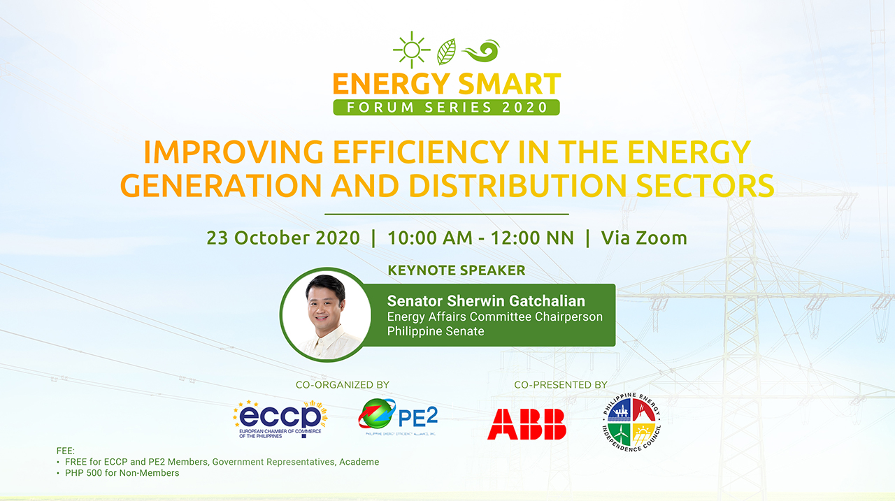 Improving Efficiency in the Energy Generation and Distribution Sectors